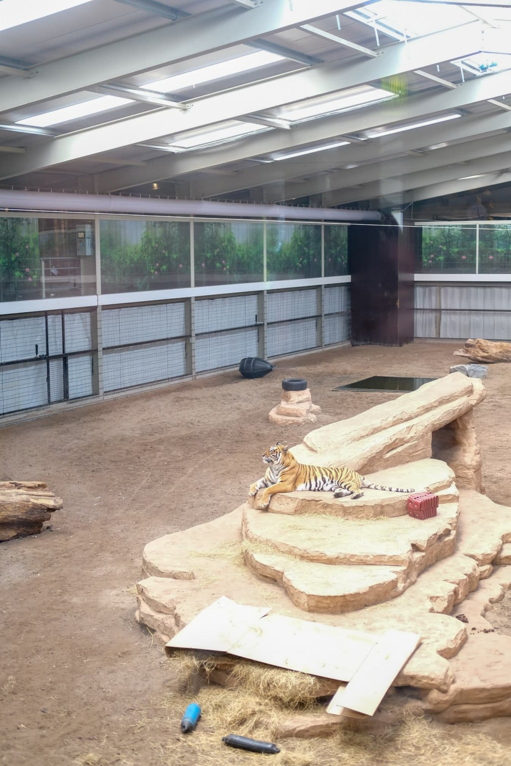 4 bijzondere dierentuinen in Nederland - Een goed verhaal